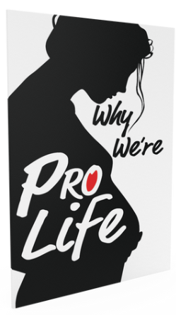 WHY WE'RE PRO LIFE BOOKLET – Holy Hill Gift Store